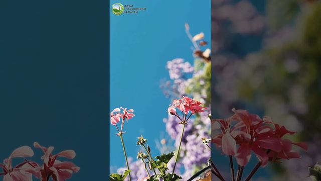 Общество не может жить с заблуждениями