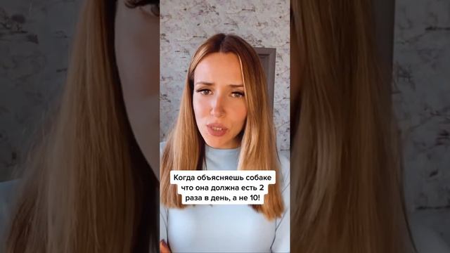 А по факту #собака ест 3 😁