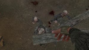 STALKER. Zombi barabum (DX8)