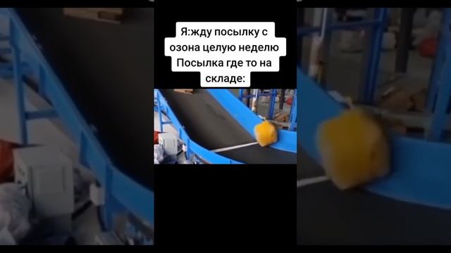 #мем#приколы#смех#озон#юмор#рекомендации
