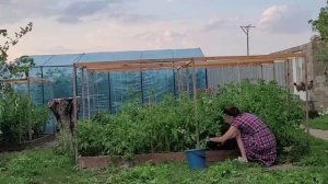 ДЕРЕВЕНСКИЕ БУДНИ РЕМОНТИРУЕМ СТАРЫЙ ДОМ НА ПАРУ С ЖЕНОЙ  (1)