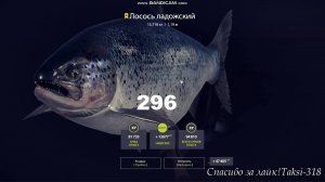 Русская рыбалка 4- Ладожский архипелаг
