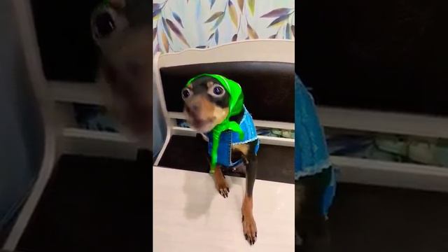 1000023956.mp4