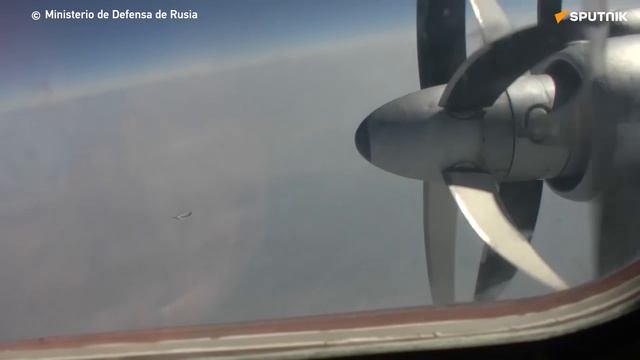 Aviones estratégicos Tu-95ms