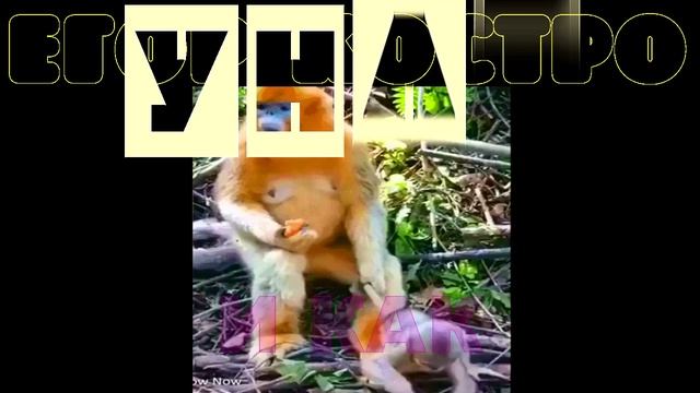16-УНАВ-2019-3.(ЗЕ...)
