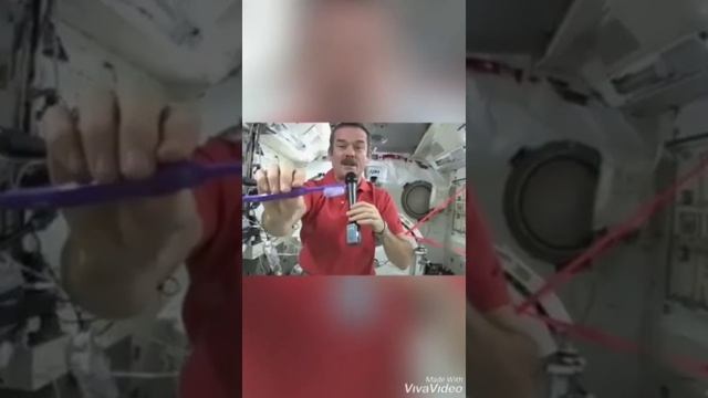 Выпуск 13. Как чистят зубы космонавты.