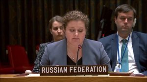 Statement by Deputy Permanent Representative Anna Evstigneeva at UNSC briefing on the DPRK
