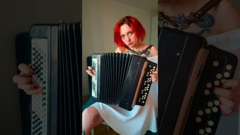 Белый груздь, чёрный груздь... некоторое отсутствие пуговиц #кавер #баян #инди #bayan #russiangirl