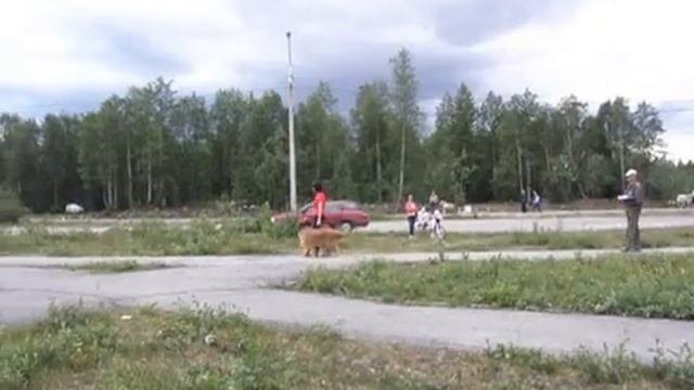 Бриар Моника, УГС 27.06.2010