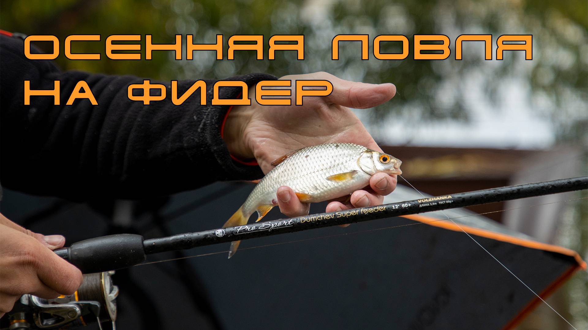 Осенняя ловля на фидер