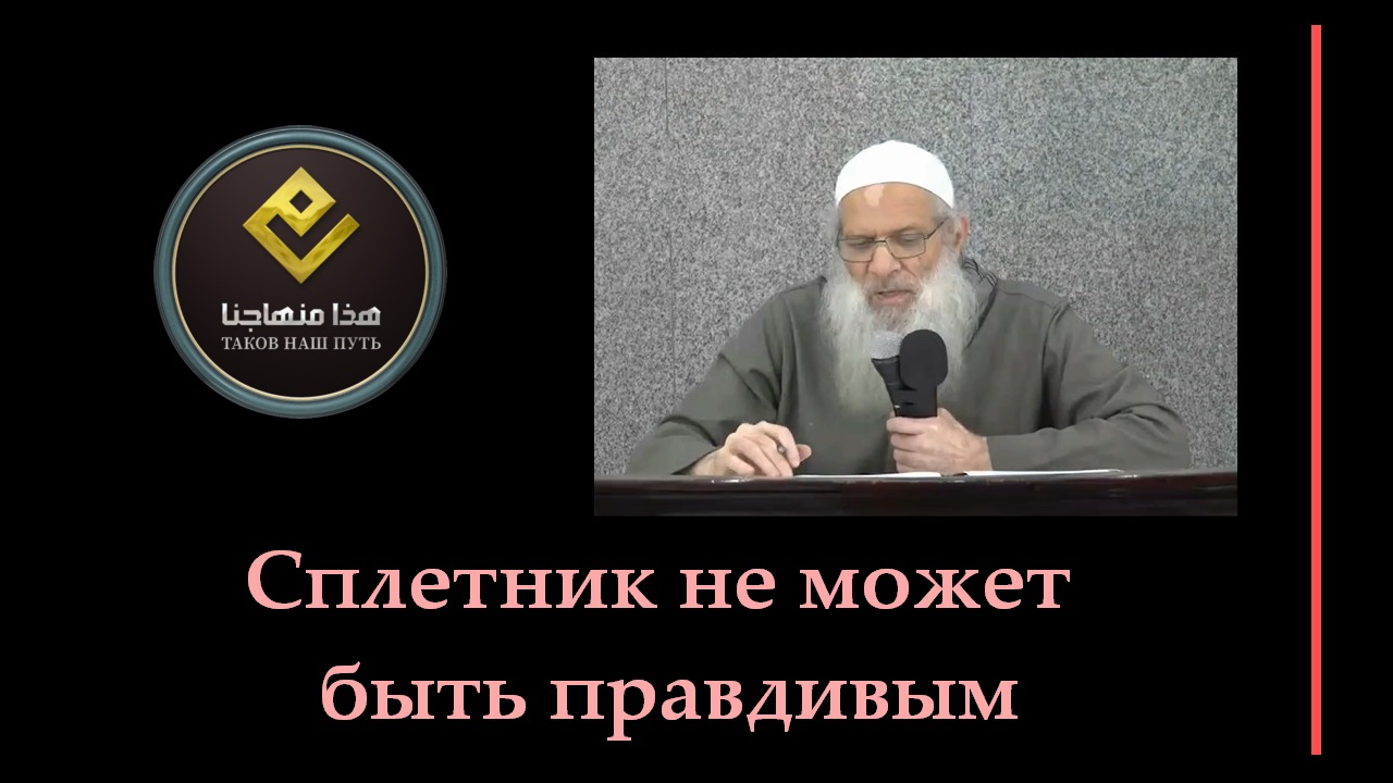 Сплетник не может быть правдивым | Шейх Раслян