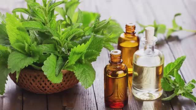 Эфирное масло мяты перечной:  7 главных свойств + меры предосторожности