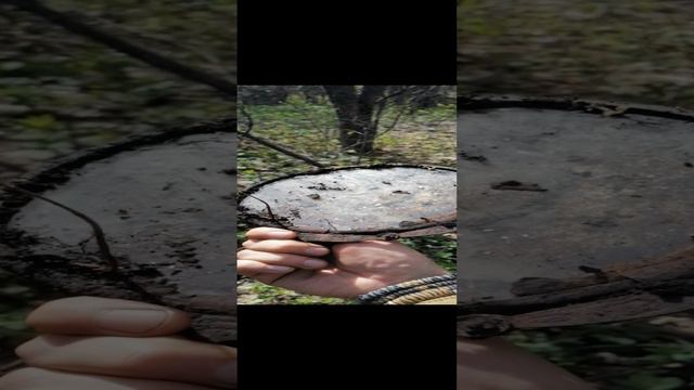 НАХОДКА
