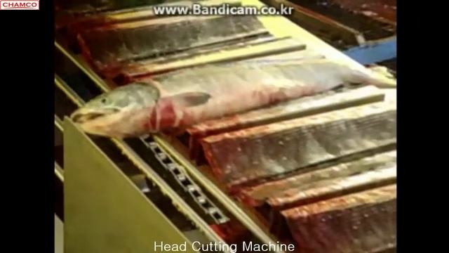 Головоруб для красной рыбы