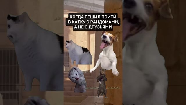 А там такие же раки #шортс #игры #юмор