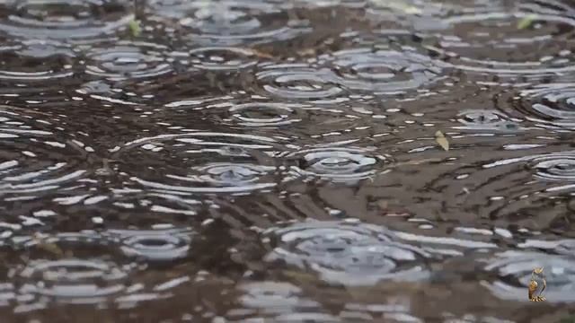 Семен Надсон Мелодии.mp4