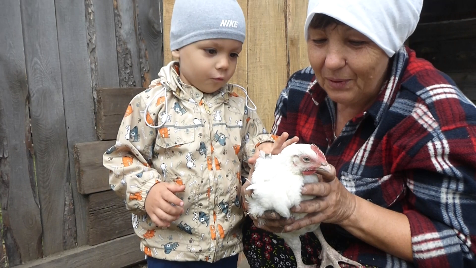 2017 -  3   В зоопарке, В Шипуново