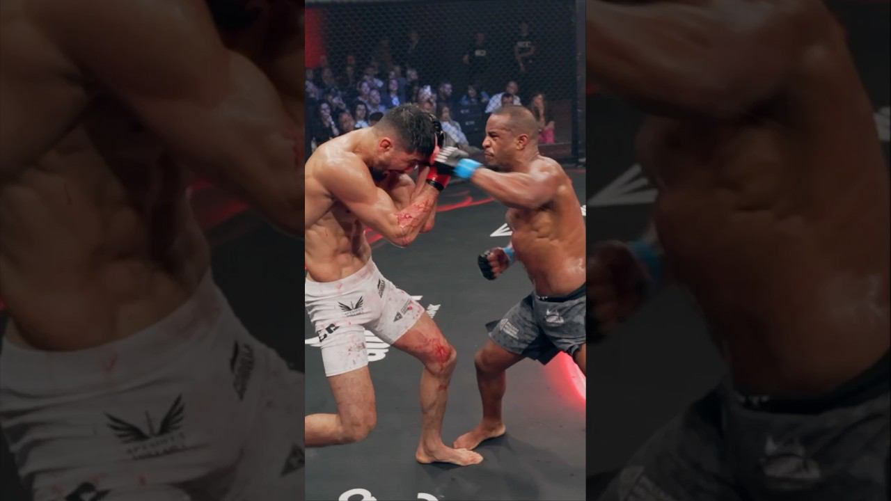 RCC MMA & Boxing | ВСЕ БОИ В ОДНОМ МЕСТЕ на RUTUBE: 1516 видео – смотреть онлайн и бесплатно ...