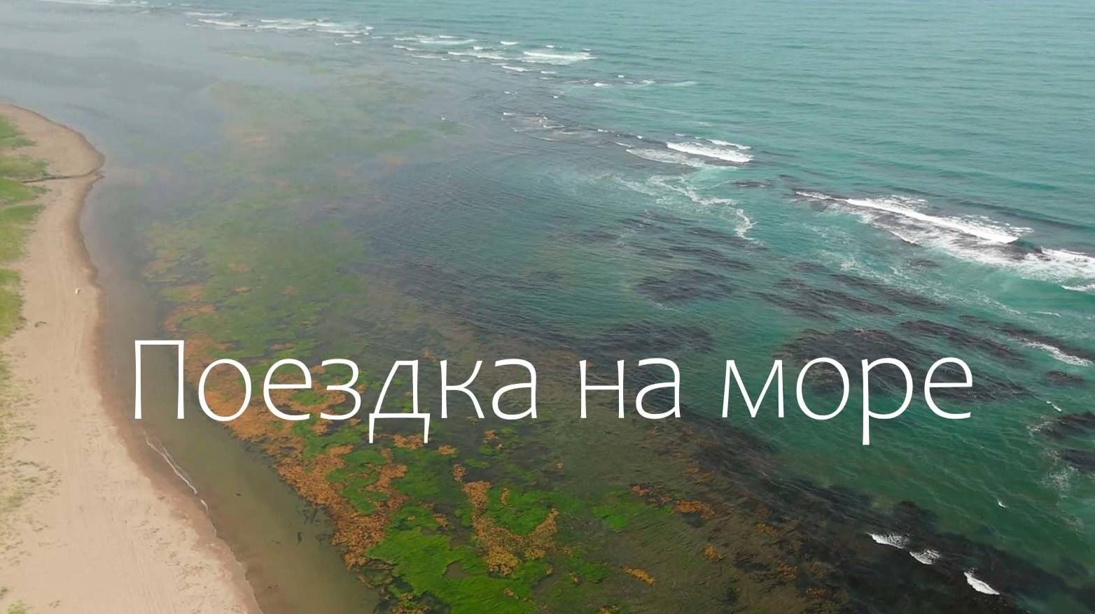 Креветка. Рыбалка. Нерпы. Трёхдневная поездка на море. Сахалин.