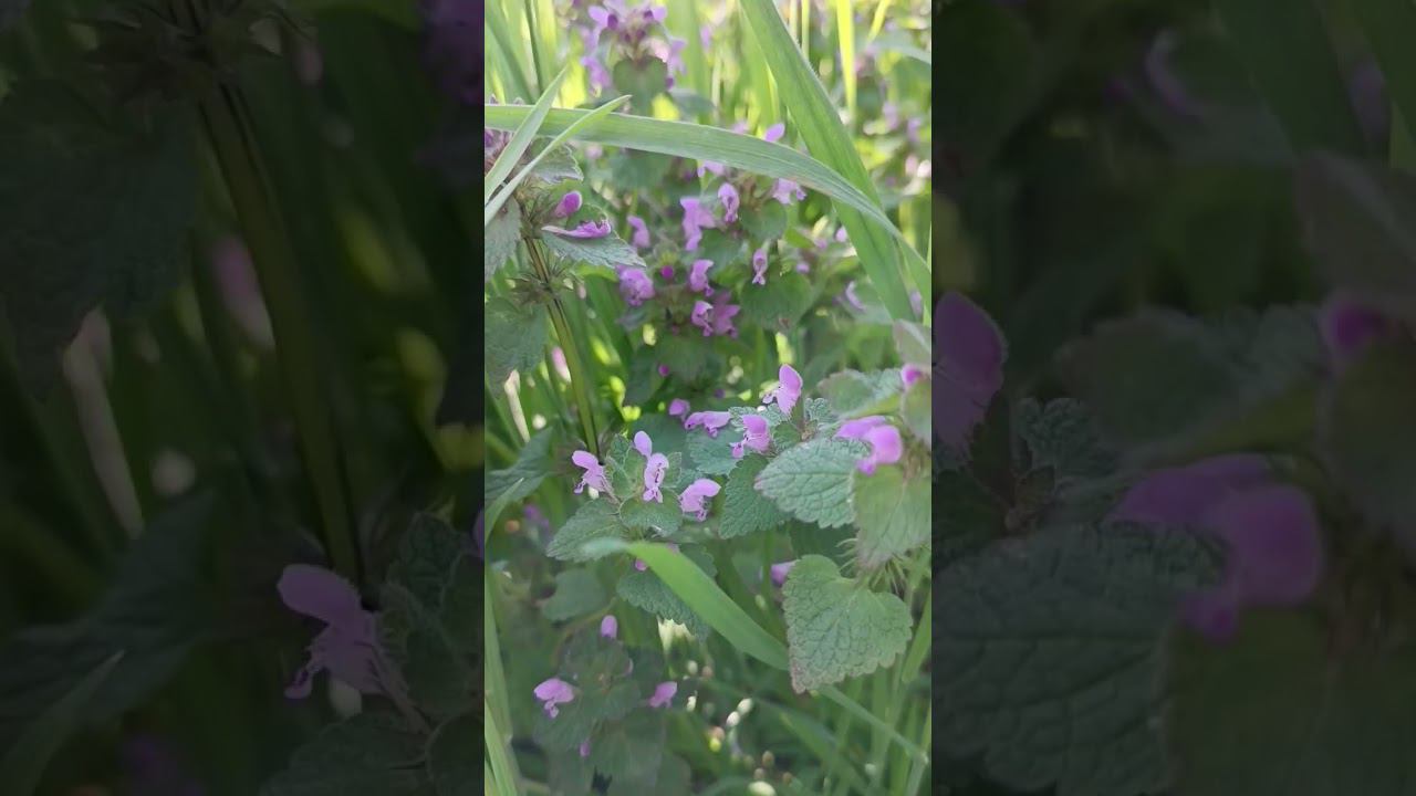 Зарисовка дня 9.04.25