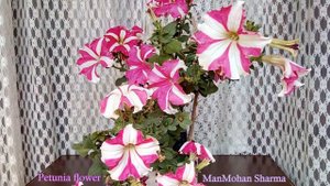 शून्य खर्च में सजावट कैसे करे  Part - 2