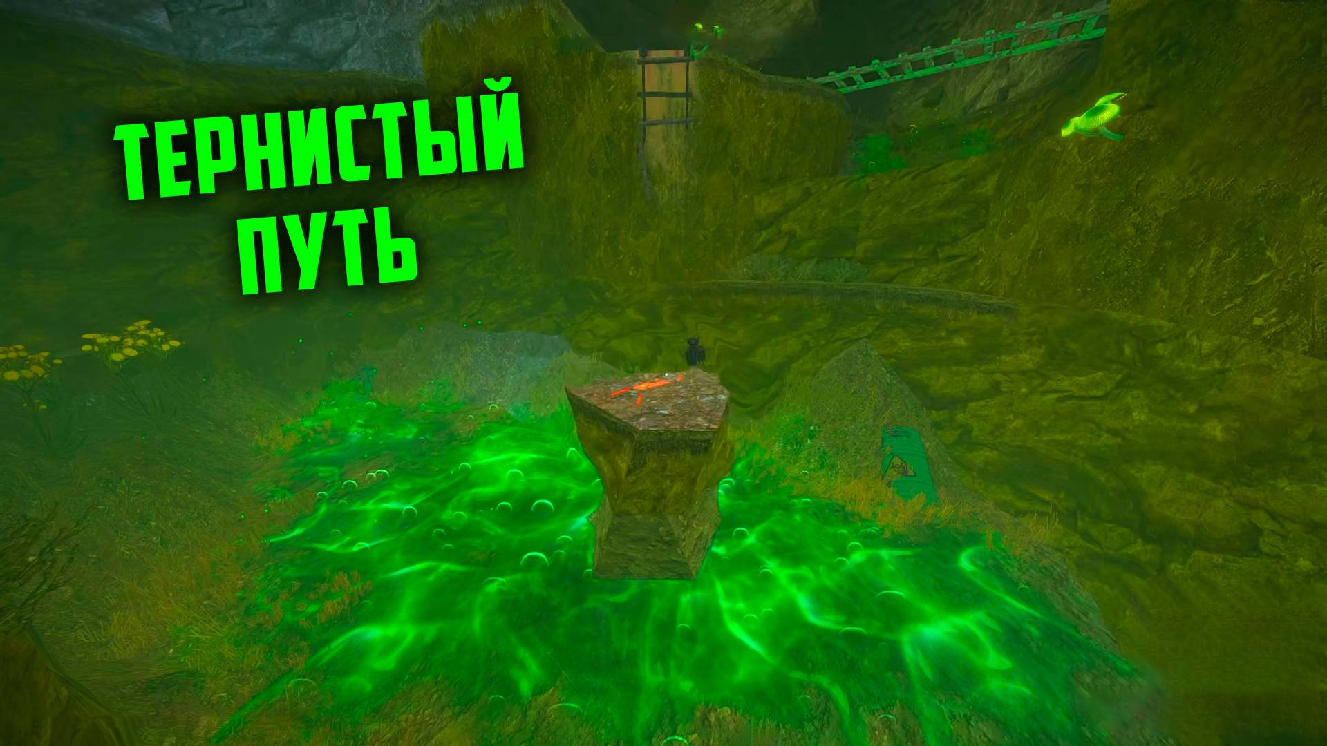 Дырокол #6 #stalkraft #прохождение