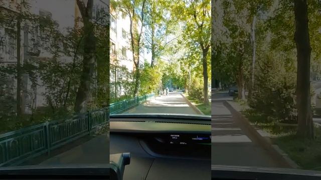 Trip to Роддом