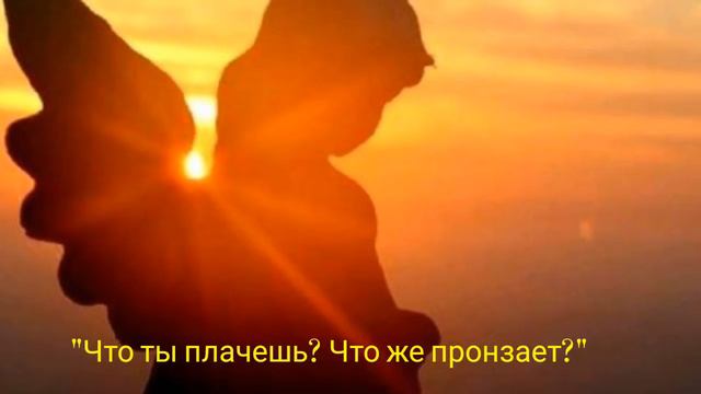 Александр Скутельник "Предчувствие бездомного ребёнка" & DJ ASCOOT feat ...