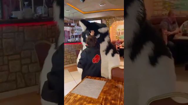 Хаски!! ✨ Поздравление в надувном костюме ХАСКИ 🐕 Костюм аниматора