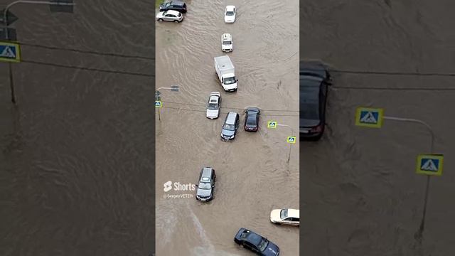 9 августа 2024 г.