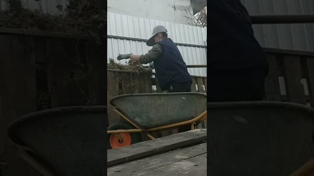 МИР, ТРУД МАЙ!!! #shorts #subscribe