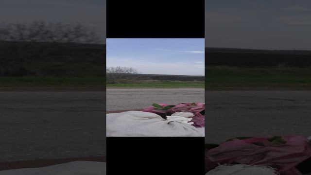 Из Москвы в деревню