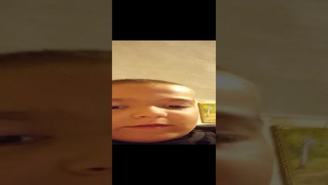 откуда мой кот Том и сколько ему лет