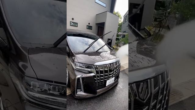 Toyota ALPHARD #машина #машины #авто #автомобиль #автомобили #школа #москва #тачки #любовь #давыдыч