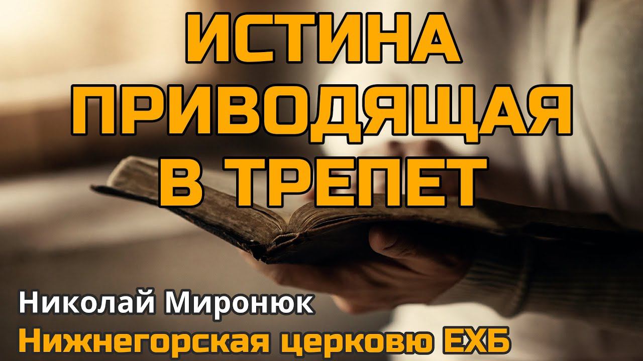 Истина приводящая в трепет (Николай Миронюк)