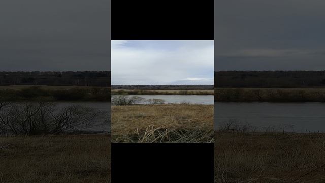 Яя