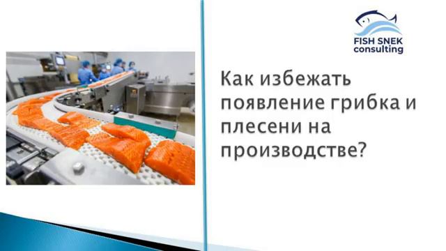 Как избежать появление грибка и плесени на производстве