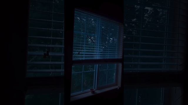 VID_20221106_012316_029.mp4