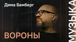 Дима Бамберг - Вороны / Шоу ВиЛ