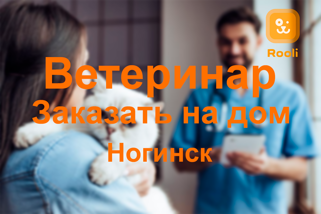 Вызов ветеринара на дом в Ногинске: Помощь для вашего питомца без выхода из дома.