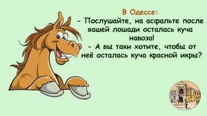 Выпуск 4. Юмор в "перлах у моря". Лучшие одесские шутки.