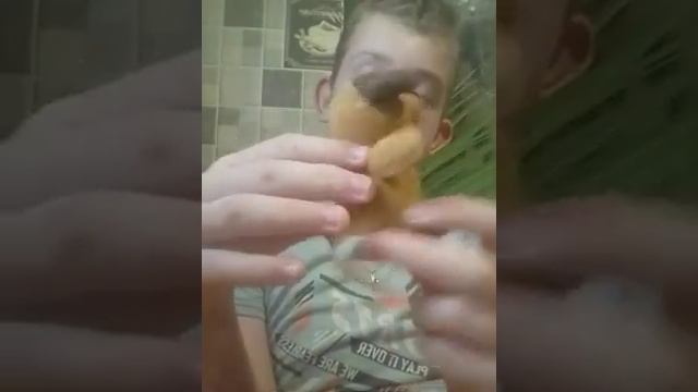 игрушка собачка