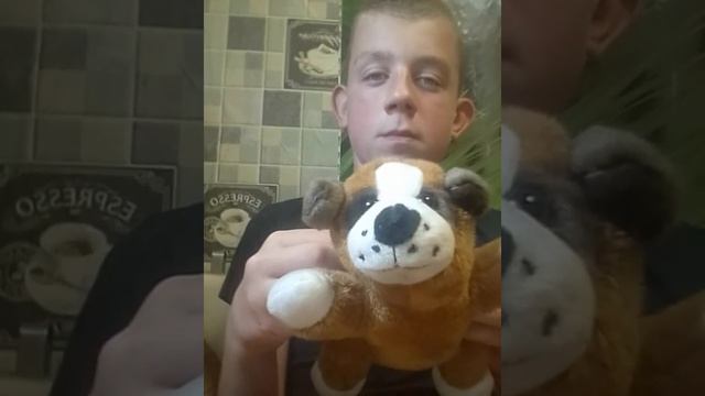 Я рассказываю про собачку