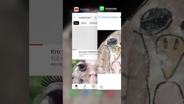 Солевая сова 🦉