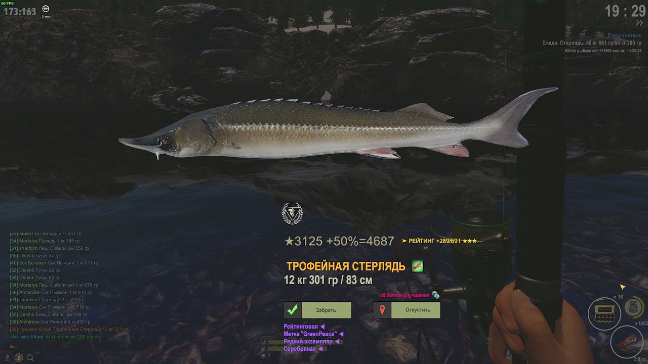 Fisher Online ЕНИСЕЙ. СТЕРЛЯДЬ