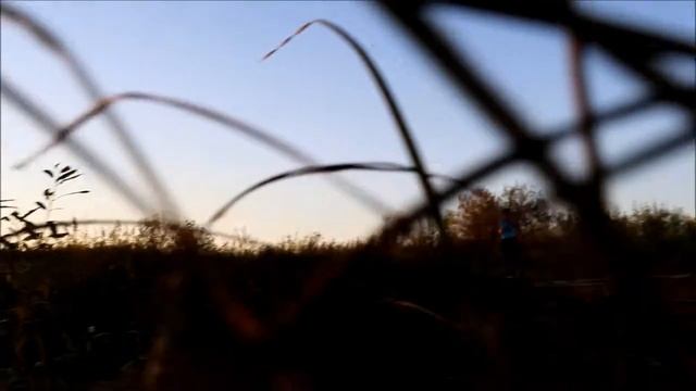 НАЧНИ БЕГАТЬ.mp4