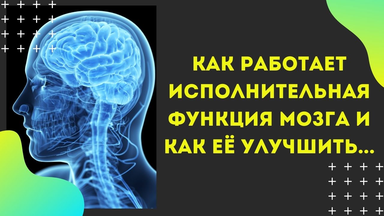Как работает исполнительная функция мозга и как её улучшить...
