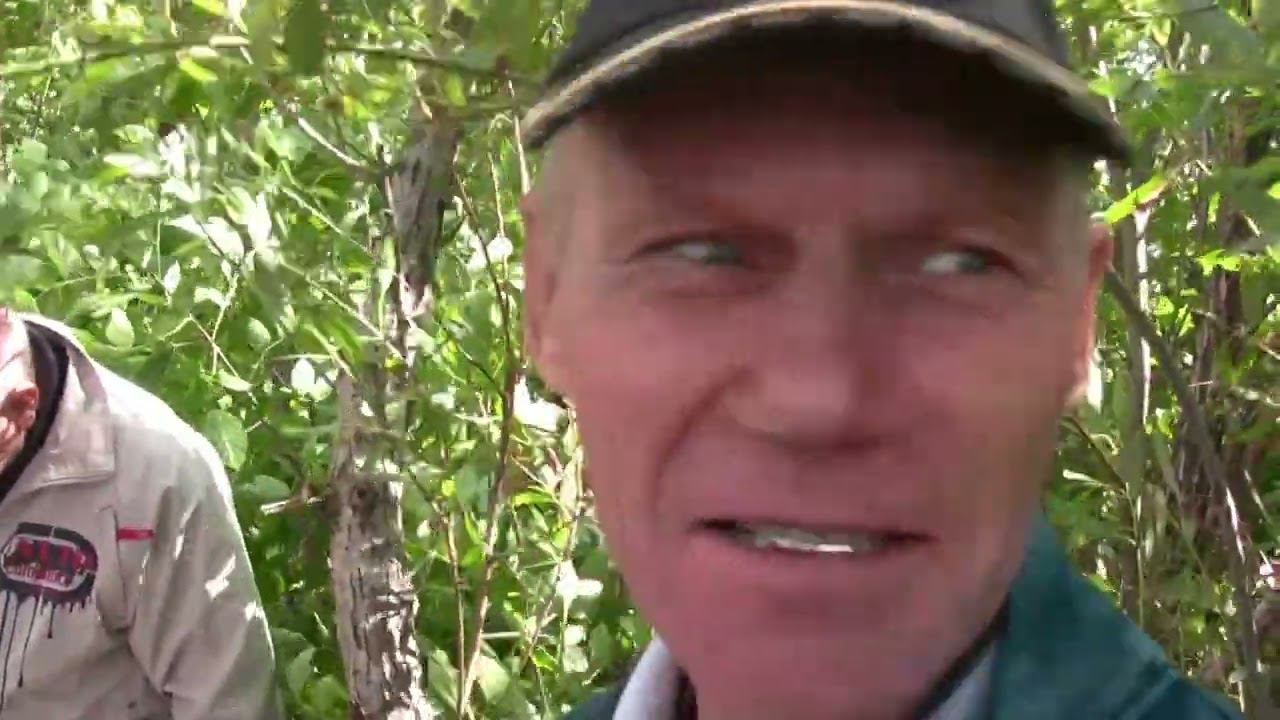 Гандикапная гонка 2011 год на кубики "Гаража Сен-Симона"