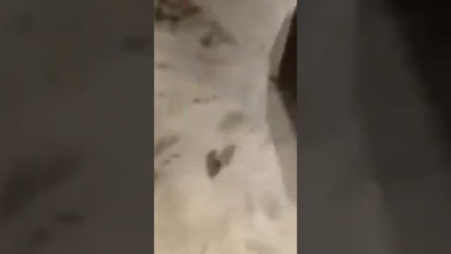 Подарок на День учителя