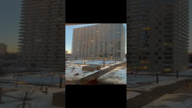 Вид из окна гостиной